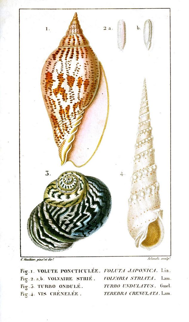 Artfully Musing: August 2011